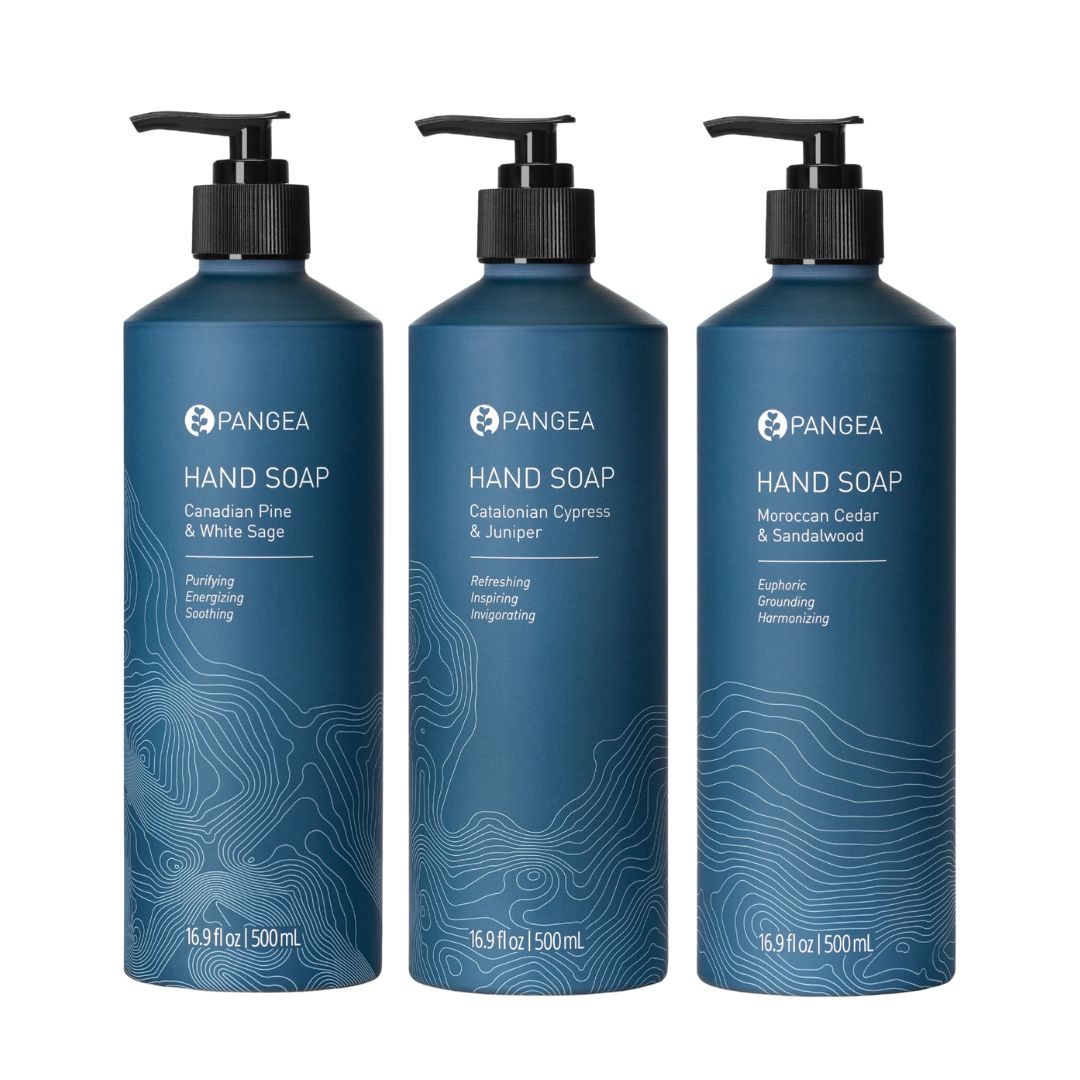 Hand Soap | Variety Set 2 – Pangea